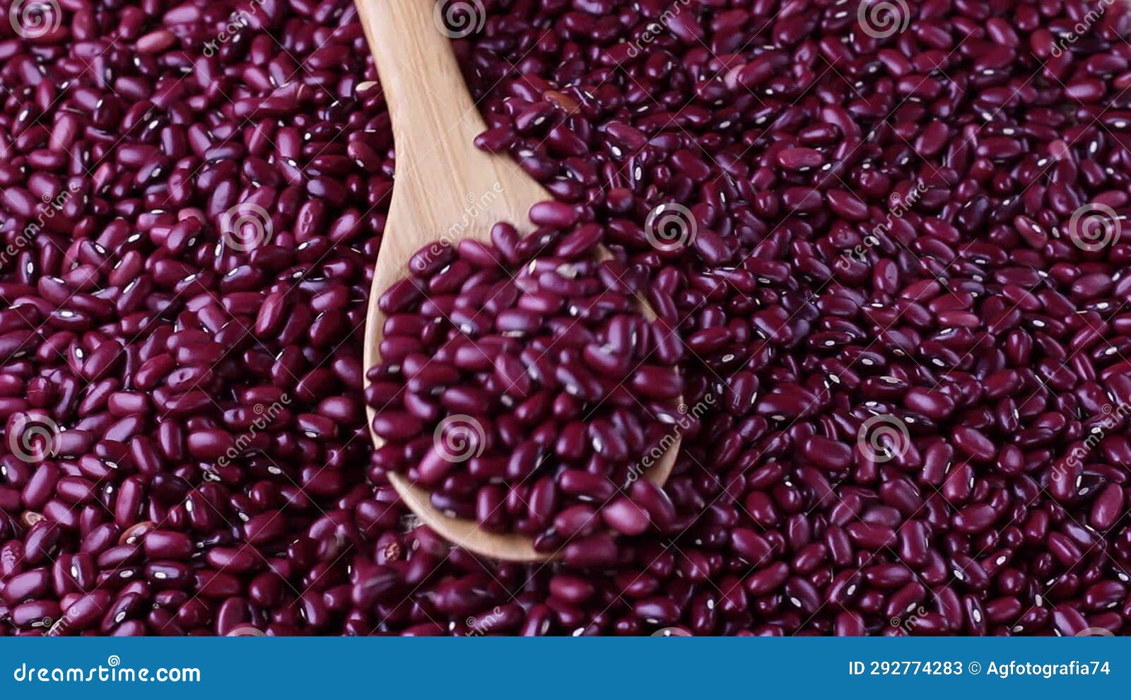 Raw Red Kidney Bean Seed Grains Separated with Bamboo Spoon Stock Video ...