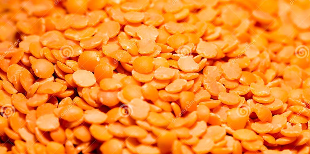 Raw red lentil seeds stock photo. Image of healthy, macrophotograph ...