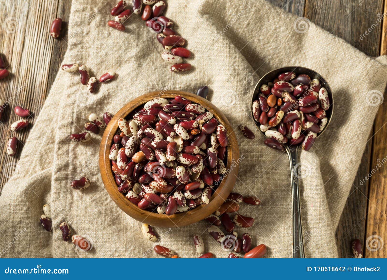 Raw Red Organic Cattle Beans Stock Photo - Image of bowls, ingredient ...