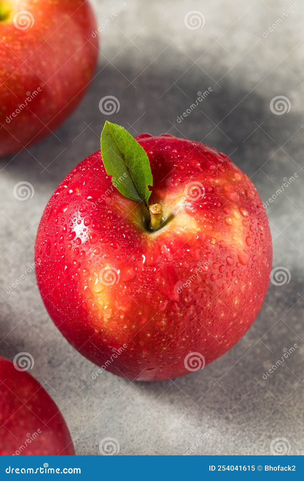 Raw Red Organic Cosmic Crisp Apples Stock Image - Image of juicy, ripe ...