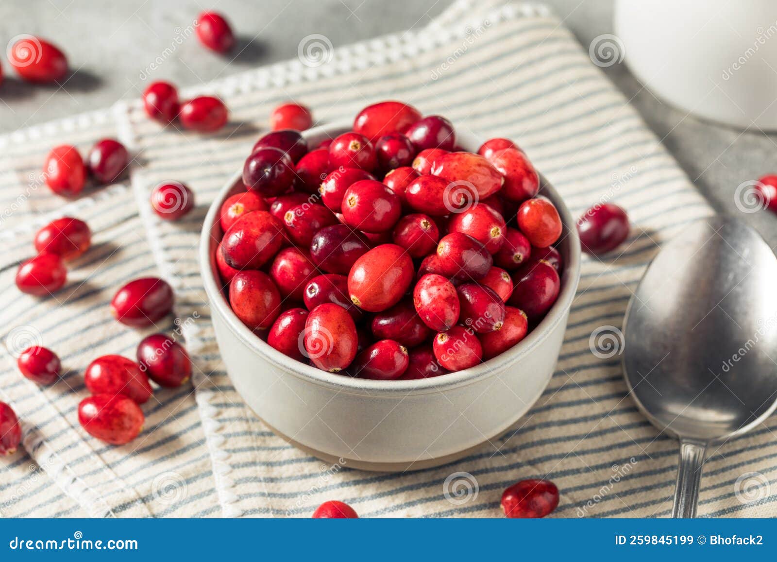 Raw Red Organic Fresh Cranberries Stock Image - Image of food ...