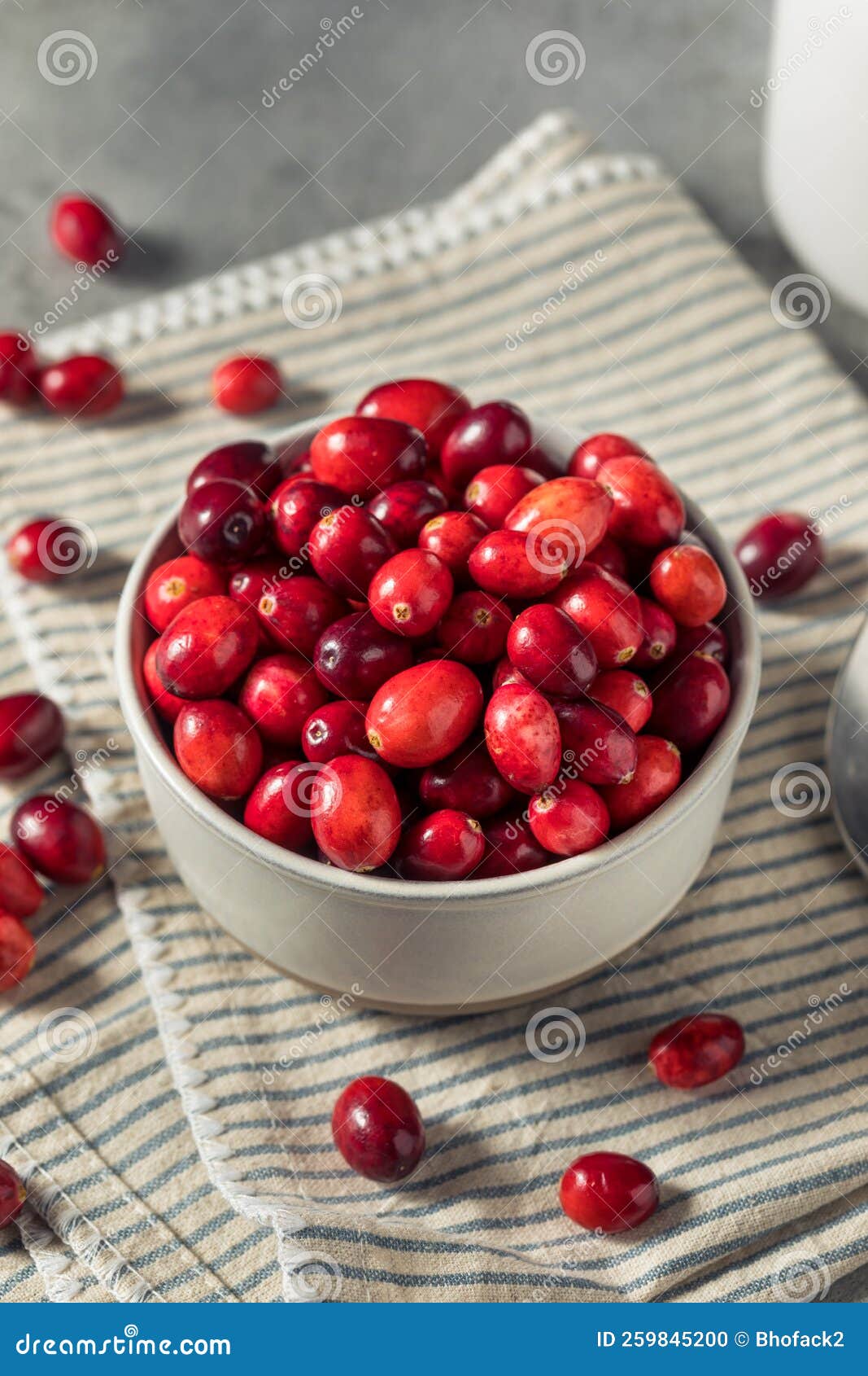 Raw Red Organic Fresh Cranberries Stock Photo - Image of sweet, natural ...