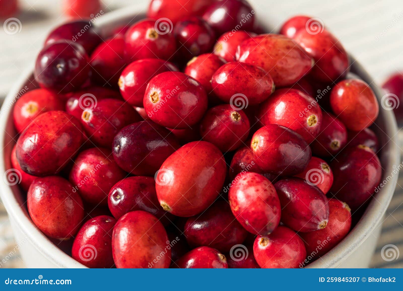 Raw Red Organic Fresh Cranberries Stock Image - Image of berries ...