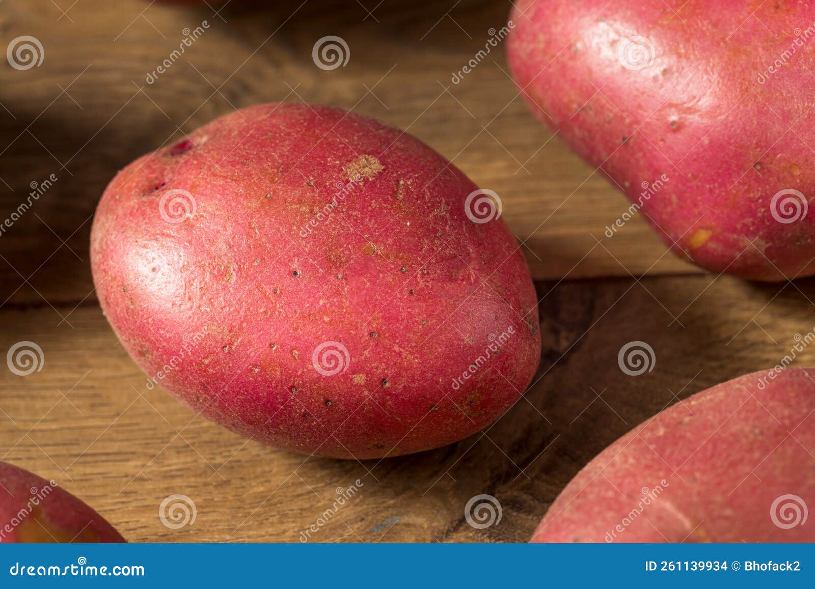 Raw Red Organic Potatoes stock photo. Image of harvest - 261139934