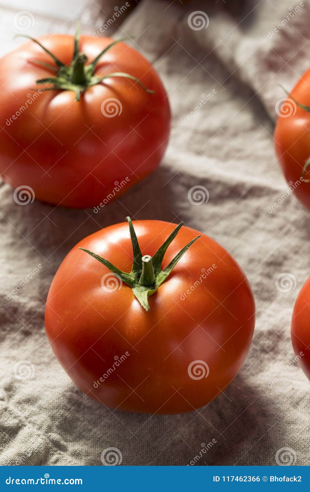 Raw Red Organic Tomatoes stock photo. Image of ingredient - 117462366