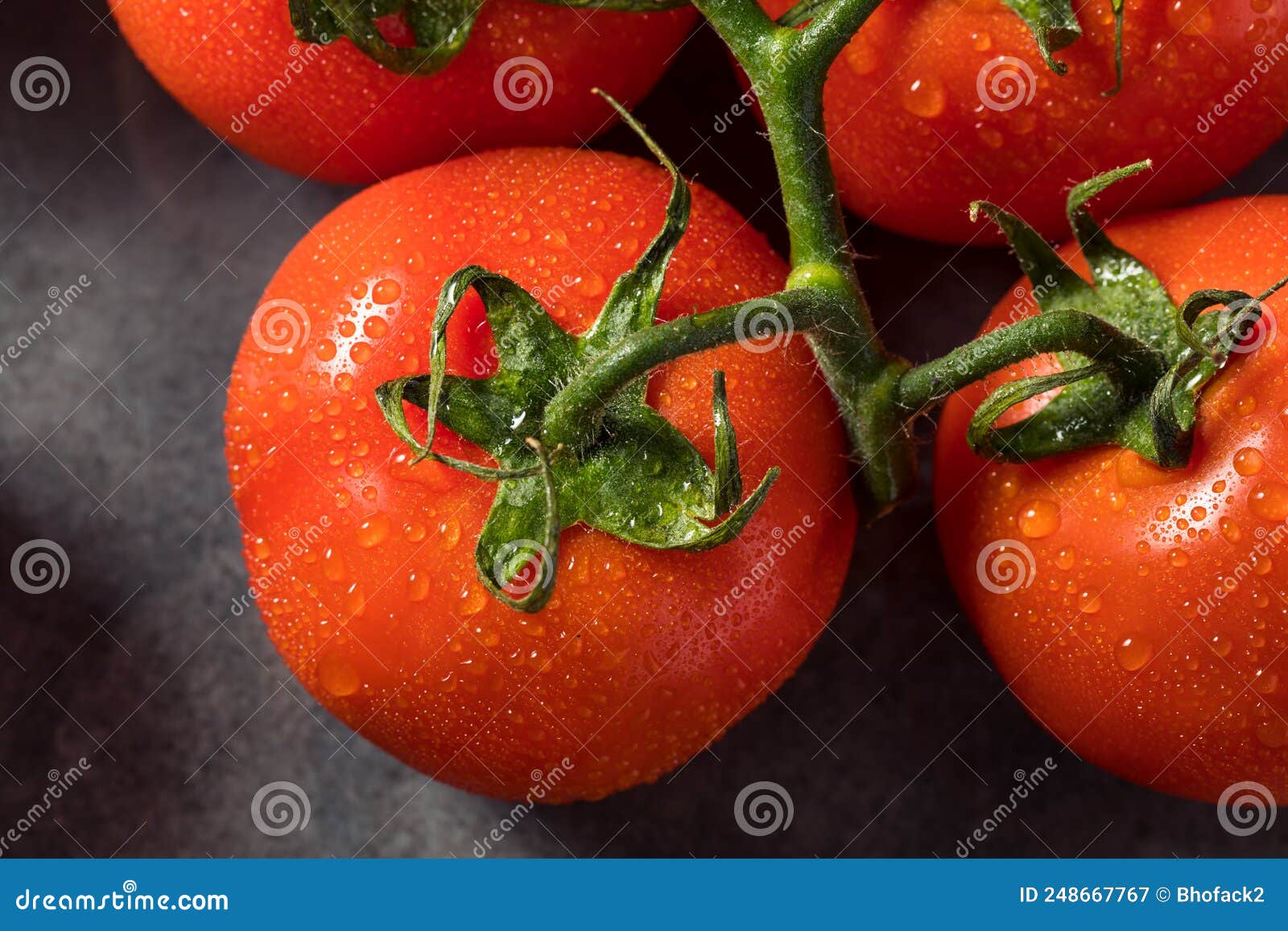 Raw Red Organic Vine Ripened Tomatoes Stock Image - Image of vine ...