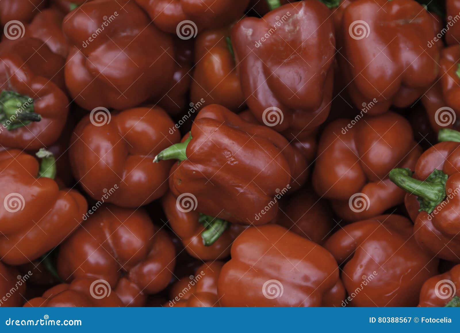 Raw red peppers stock image. Image of isolated, cooking - 80388567