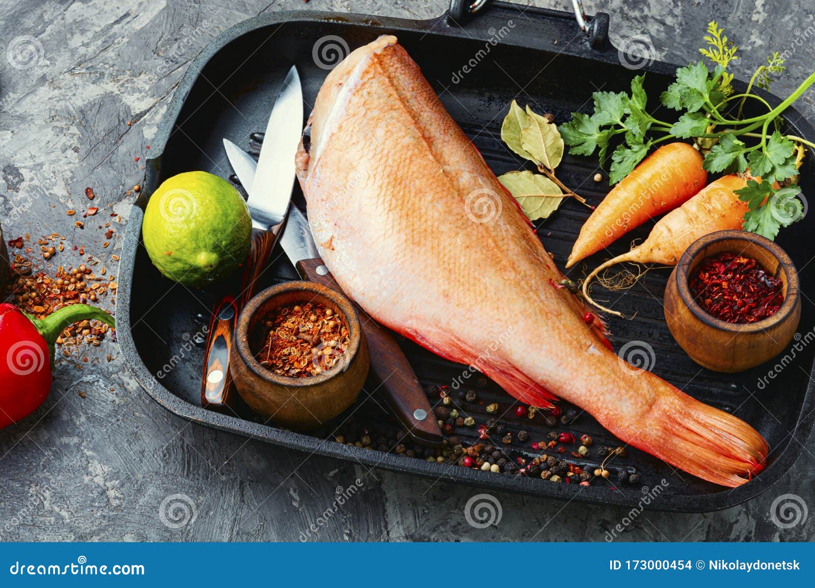 Raw red perch stock photo. Image of ocean, perch, spicy - 173000454