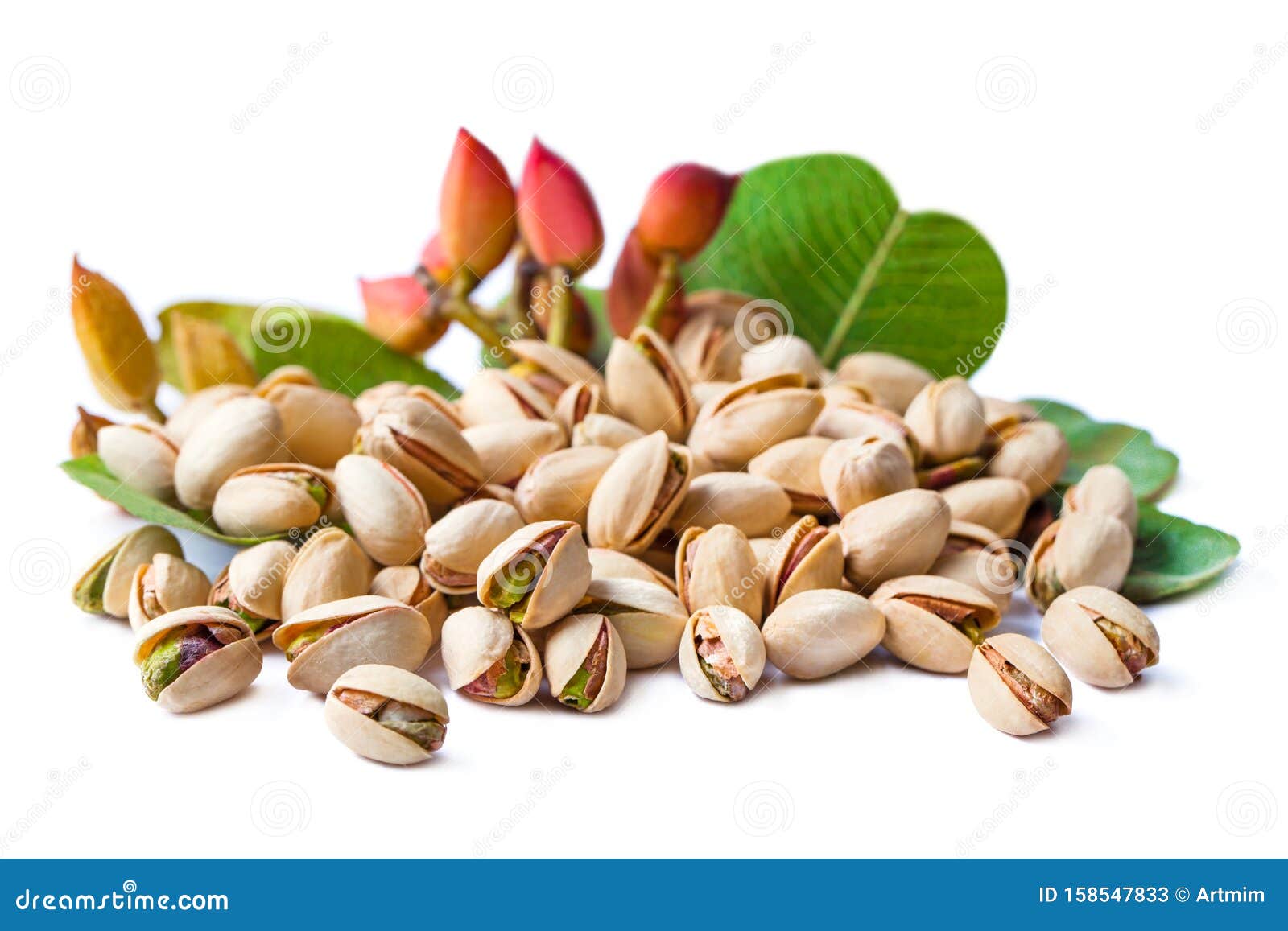 Raw Red Pistachio Nuts with Green Leaves on White Background Stock ...