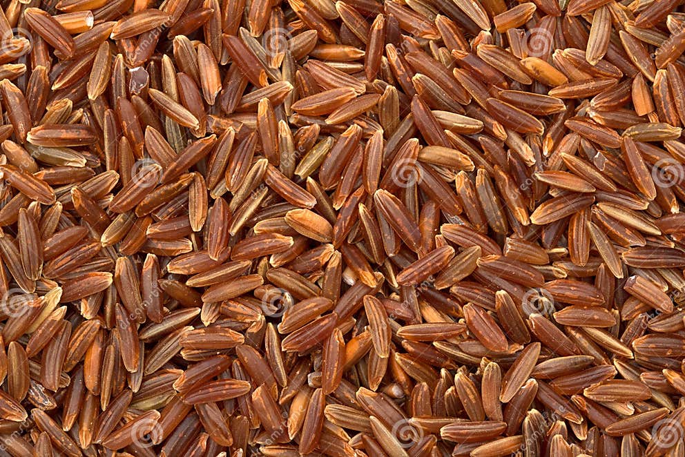 Raw red rice stock photo. Image of asian, east, culture - 35815138