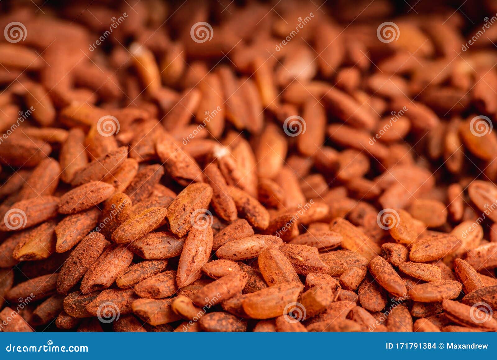 Raw Red Rice Dev-zira on the Kitchen Table Stock Photo - Image of ...