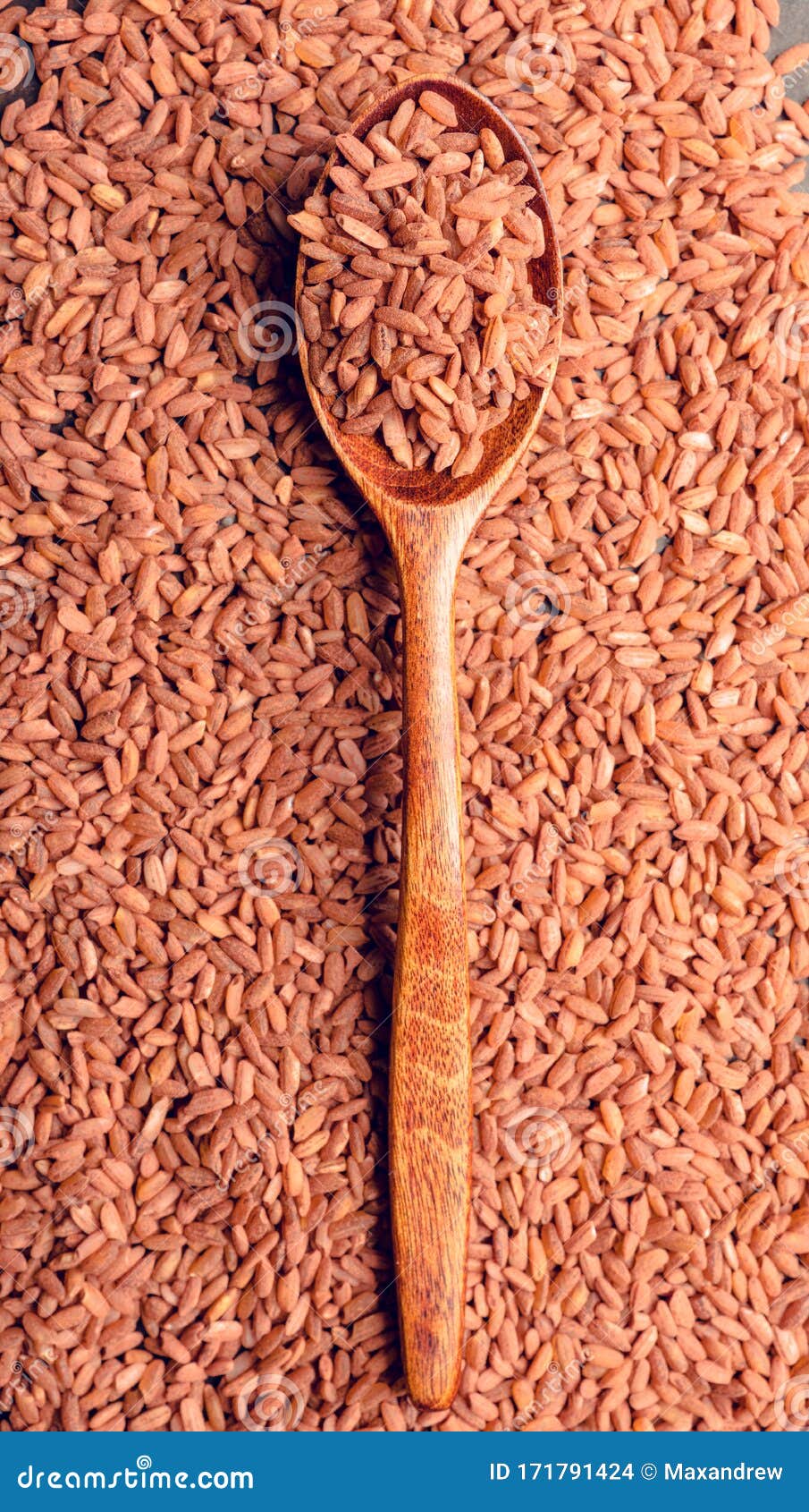 Raw Red Rice Dev-zira on the Kitchen Table Stock Photo - Image of ...