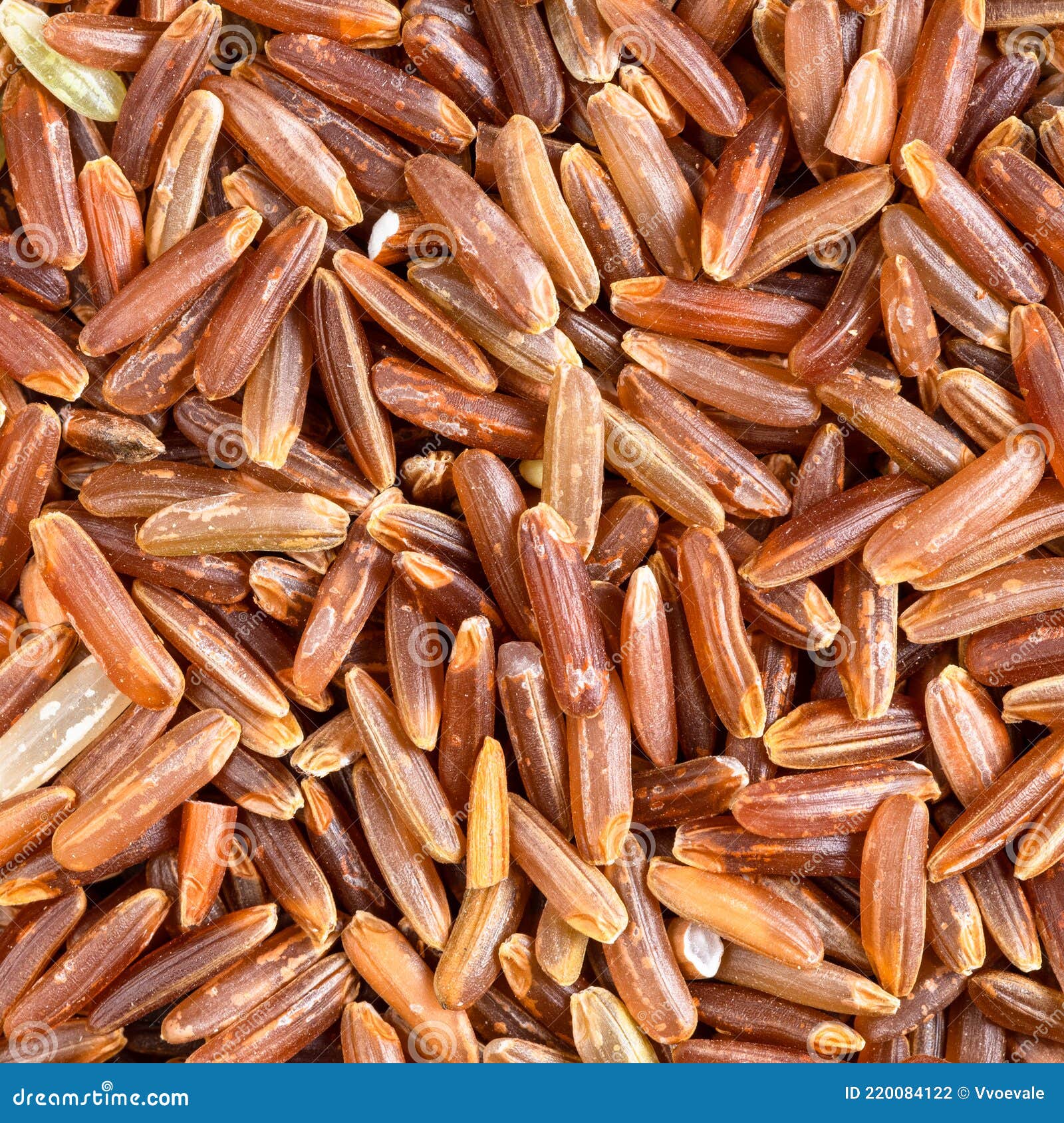 Raw Red Rice Grains Close Up Stock Photo - Image of meal, wholegrain ...