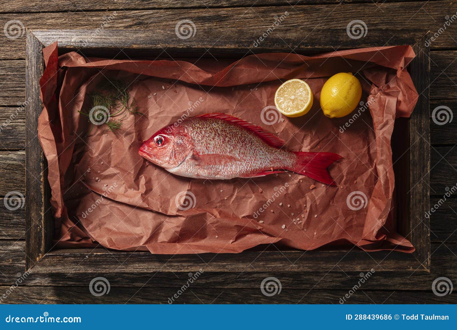 Raw Red Snapper Being Prepped Stock Photo - Image of table, unprepared ...