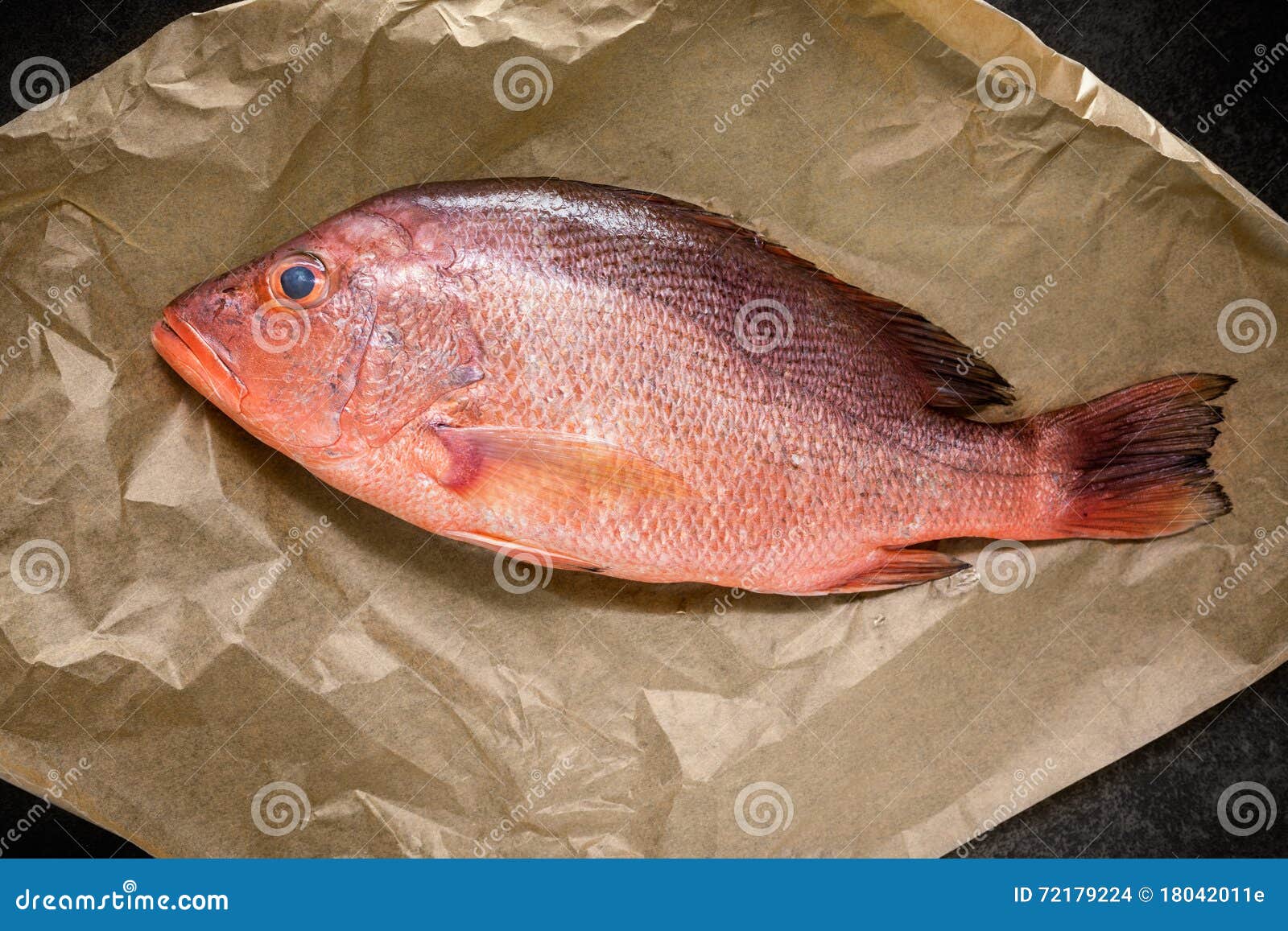 Raw Red Snapper Fish on Backing Paper, Ready for Coocking, Top V Stock ...