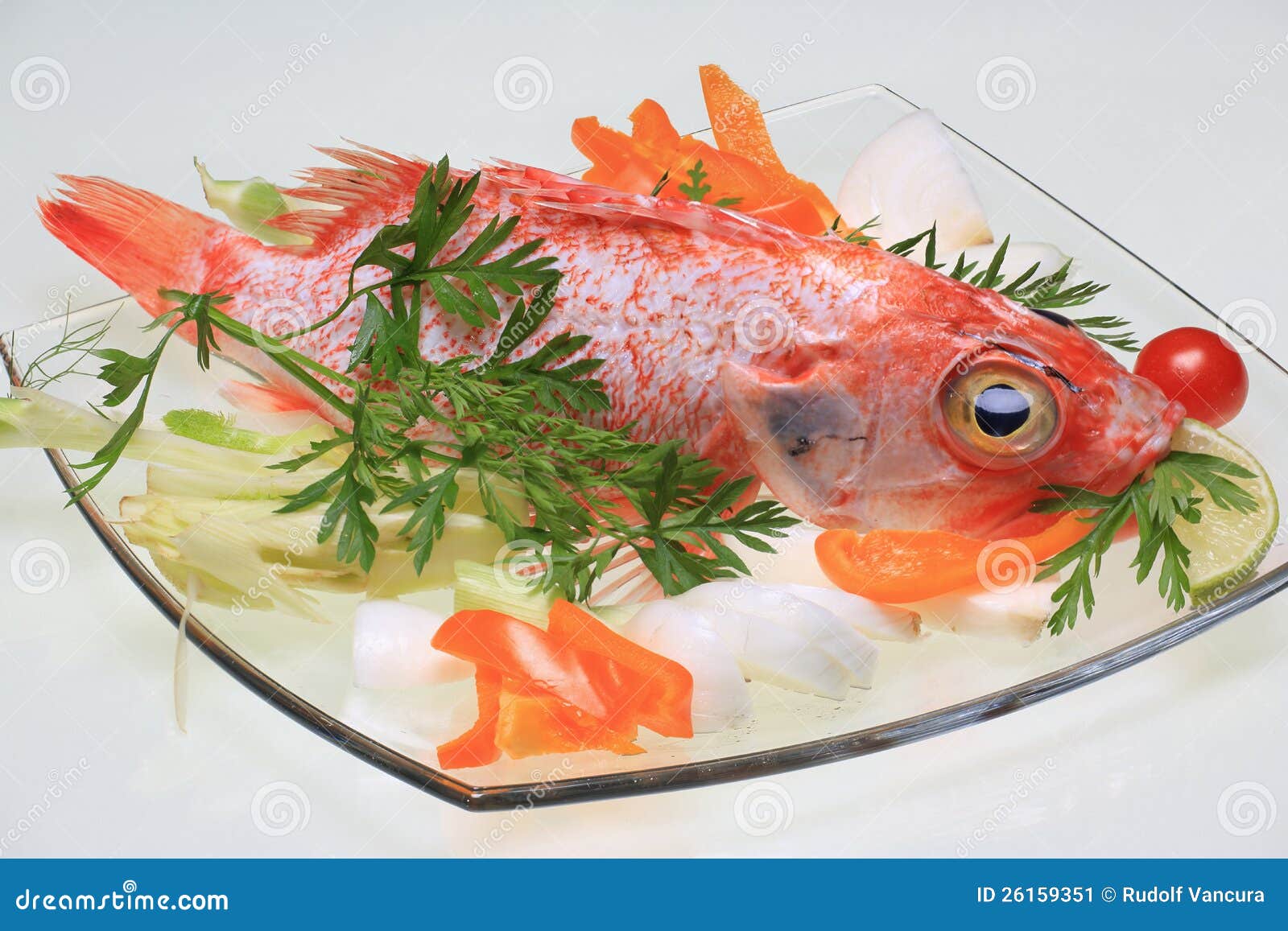 Raw Red Snapper on Glass Plate Stock Image - Image of displayed ...