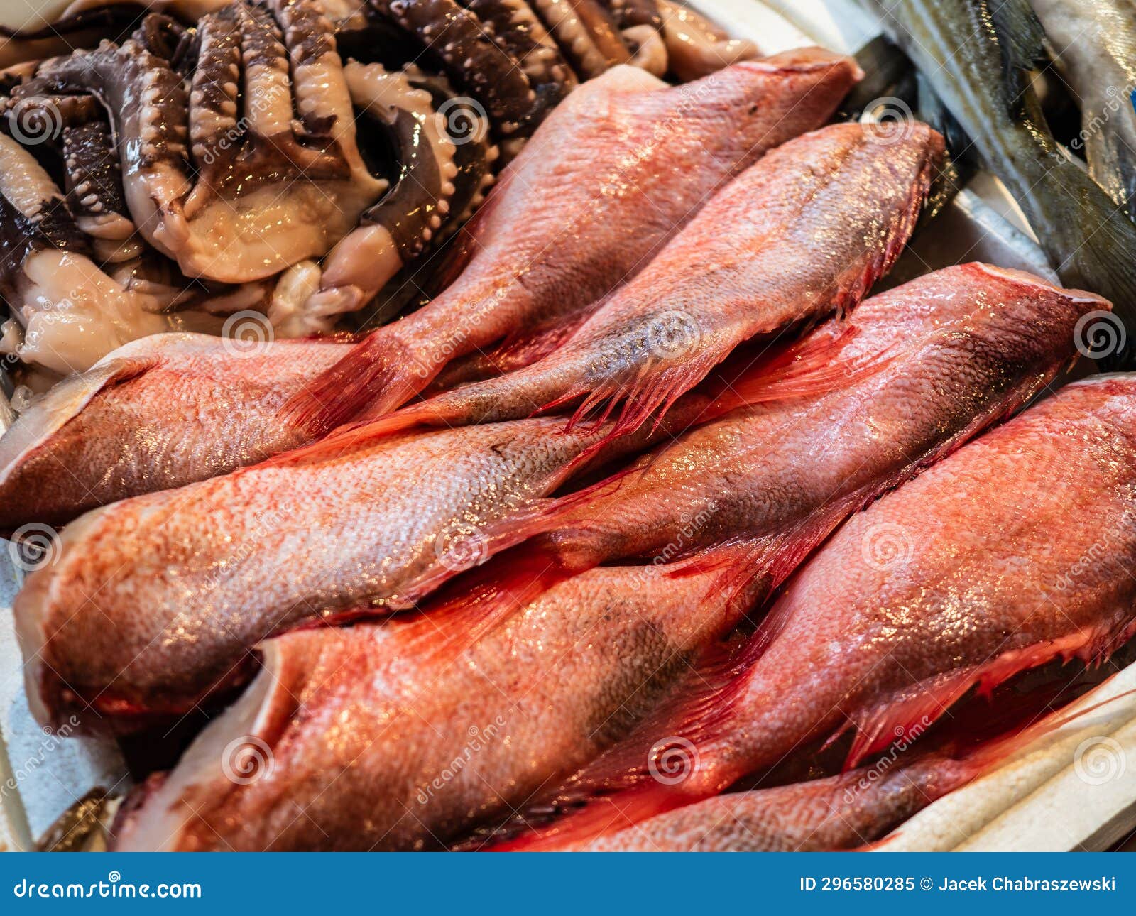 Raw Redfish Fish in Grocery Stock Image - Image of perch, tail: 296580285
