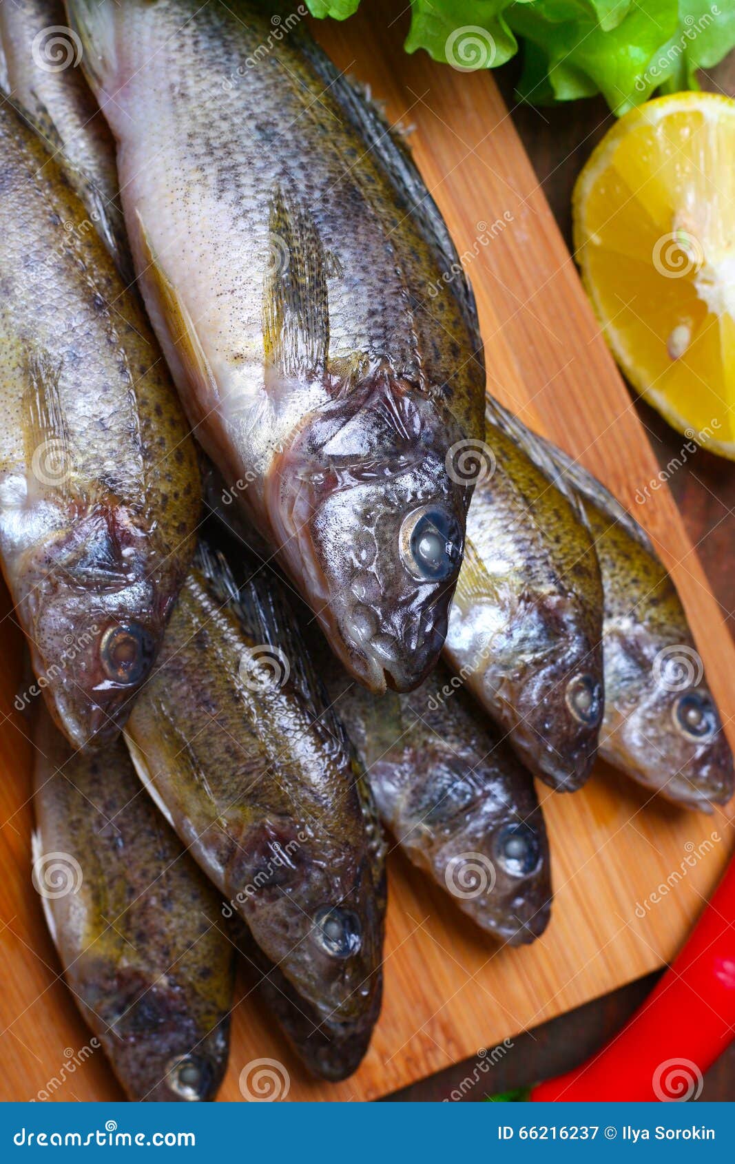 Raw Redfish Ruff Fish on the Kitchen Table with Vegetables and Lemon ...