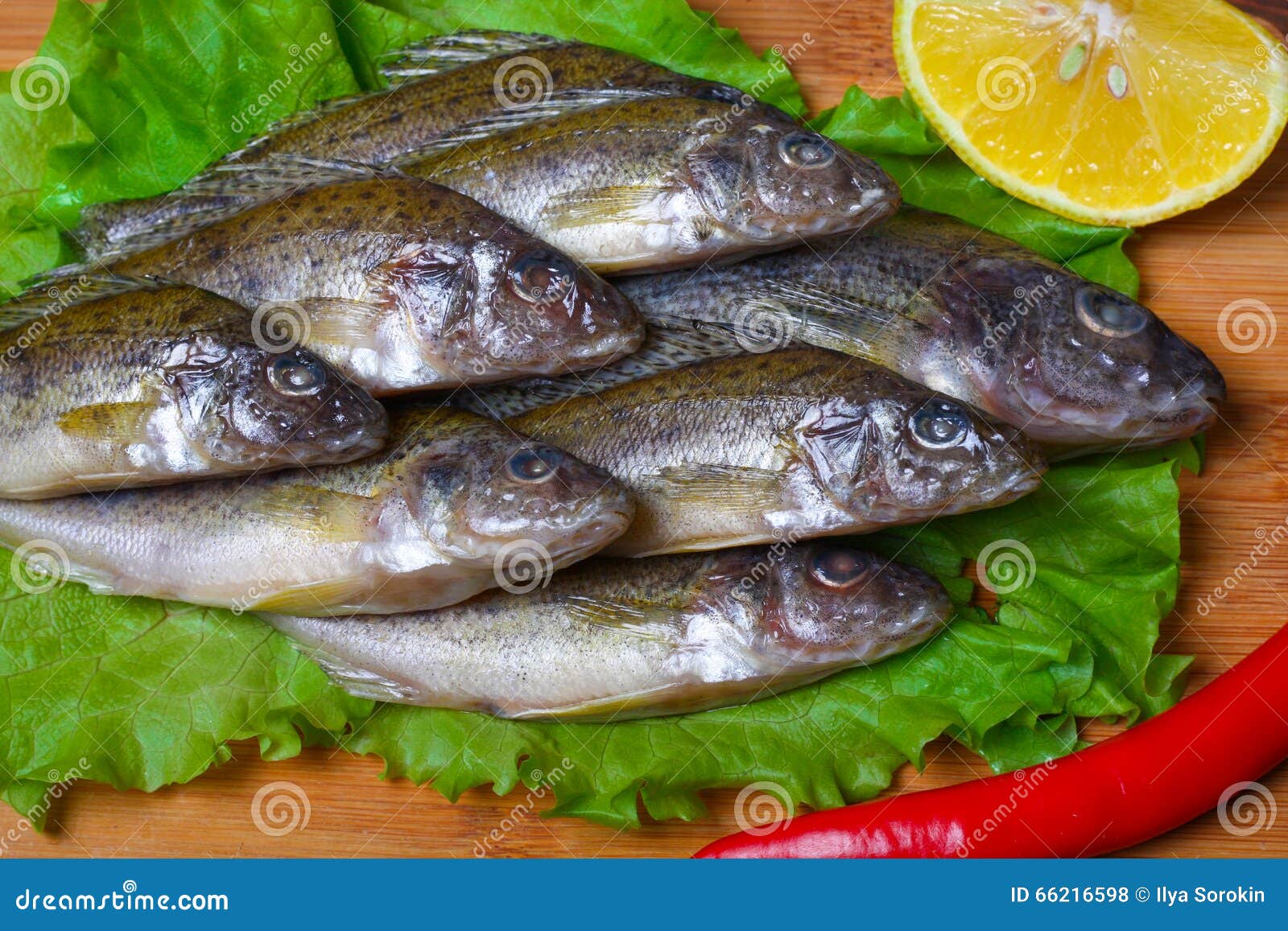 Raw Redfish Ruff Fish on the Kitchen Table with Vegetables and Lemon ...