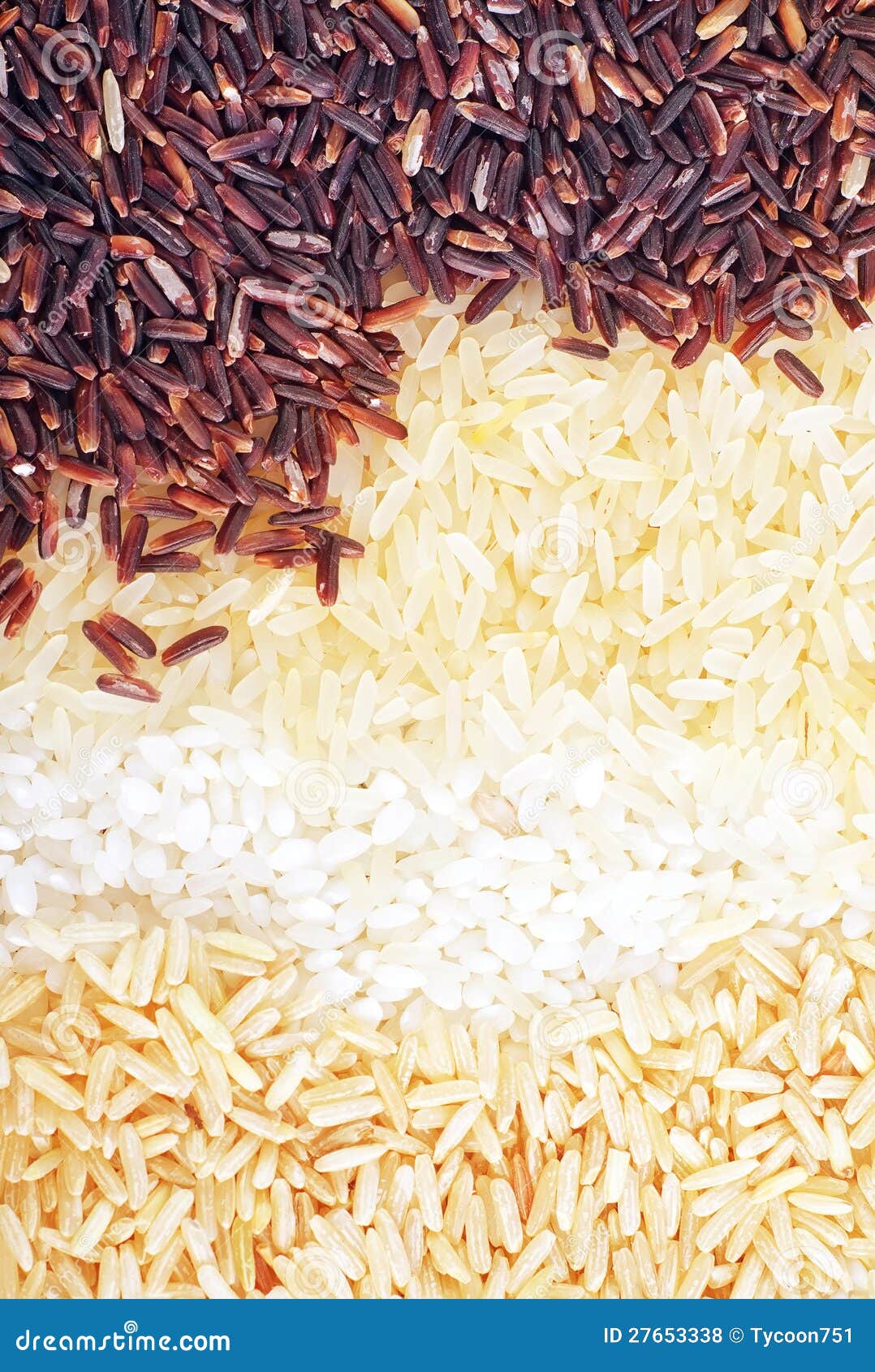 Raw rice stock photo. Image of indian, food, mixture - 27653338