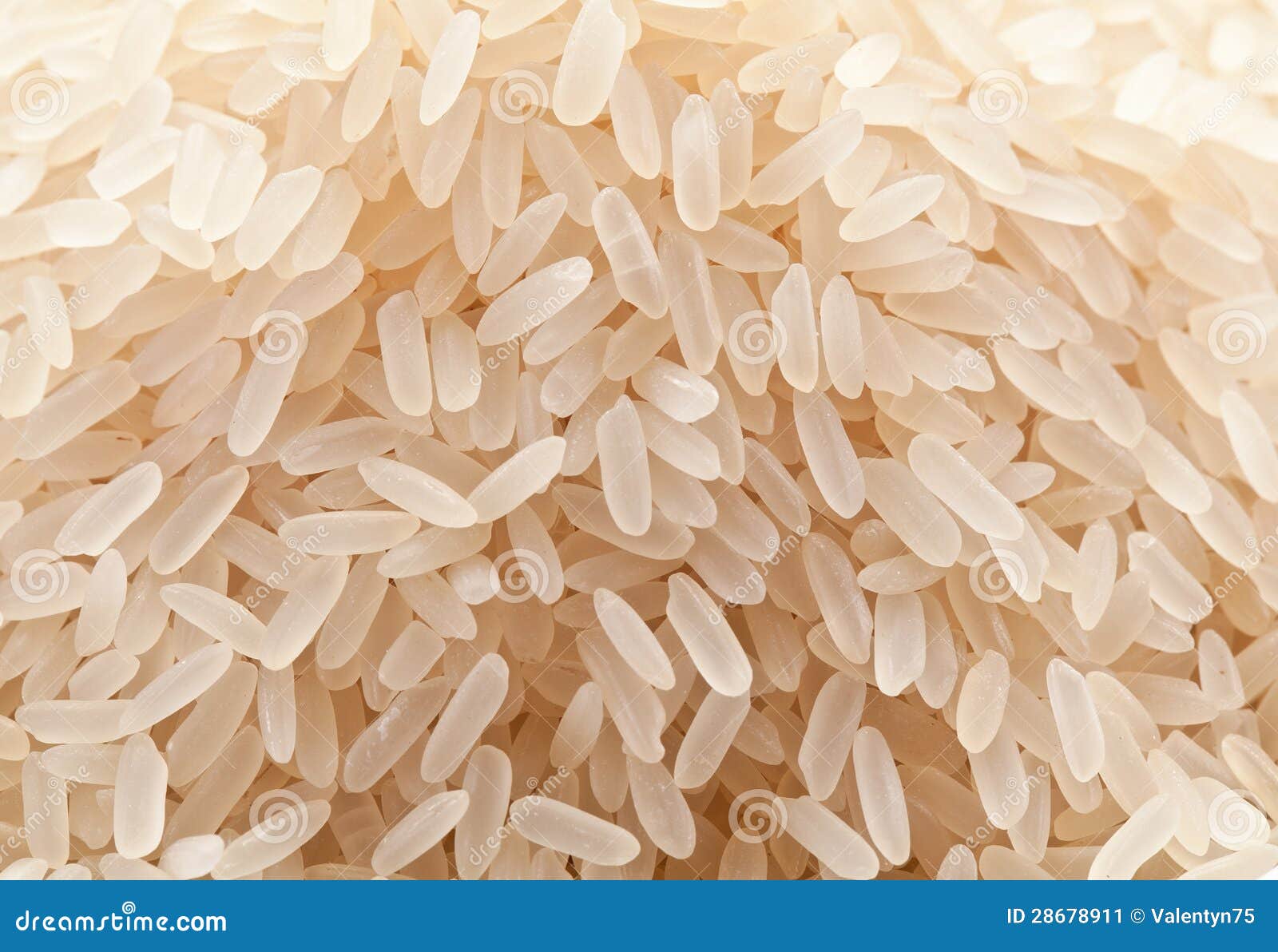 Raw rice. stock image. Image of fiber, brown, close, meal - 28678911