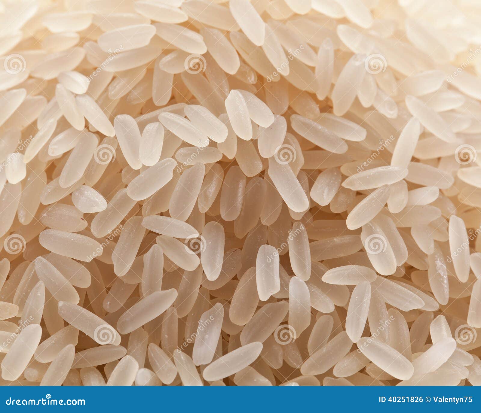 Raw rice. stock photo. Image of rice, japanese, cooking - 40251826