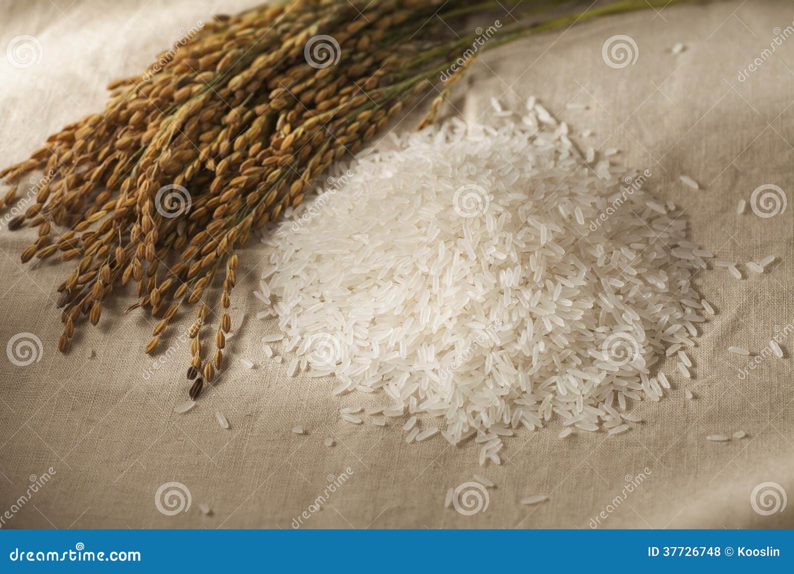 Raw rice stock photo. Image of macro, chinese, vegetarian - 37726748