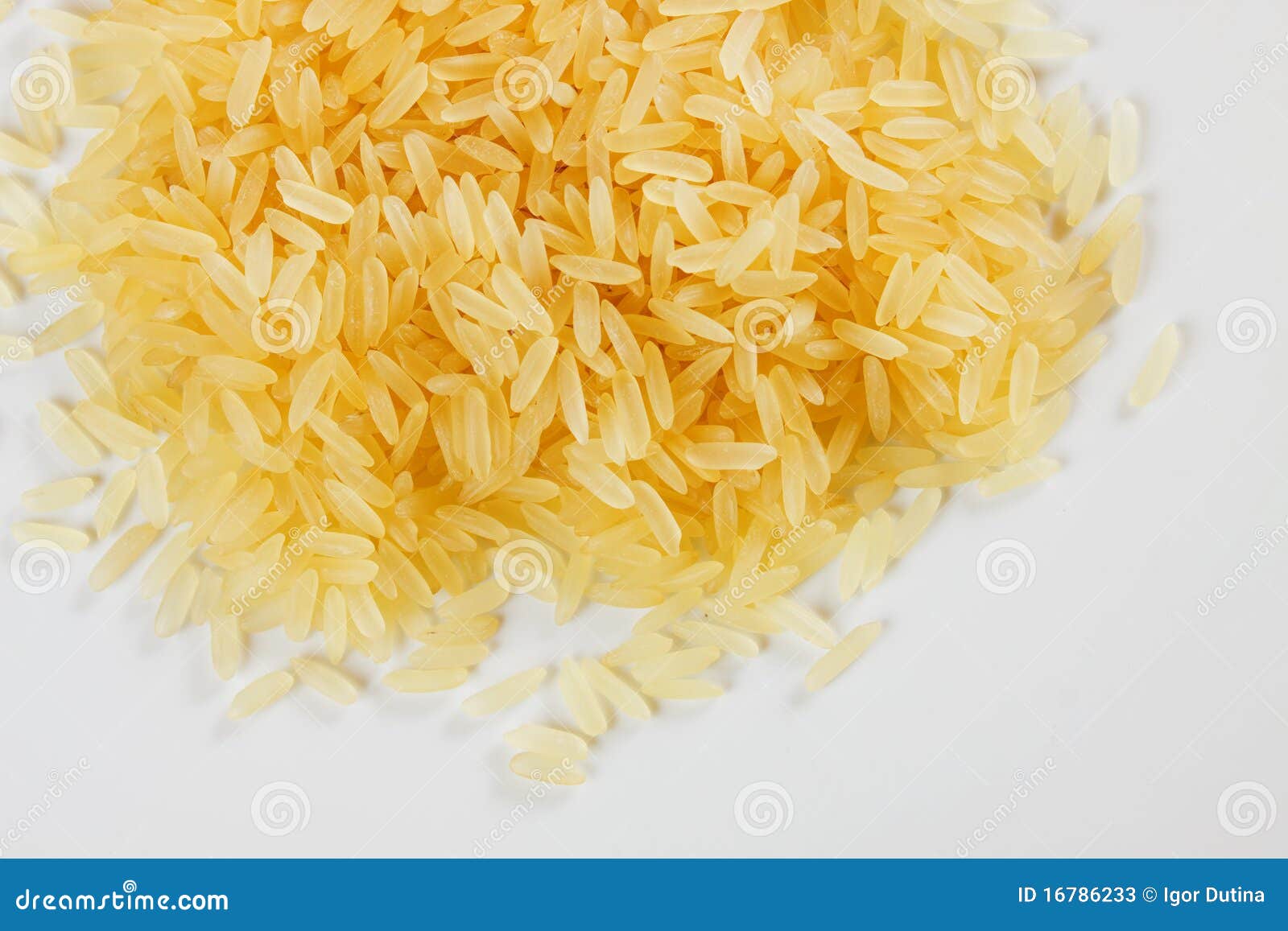 Raw rice grain stock image. Image of horizontal, rice - 16786233