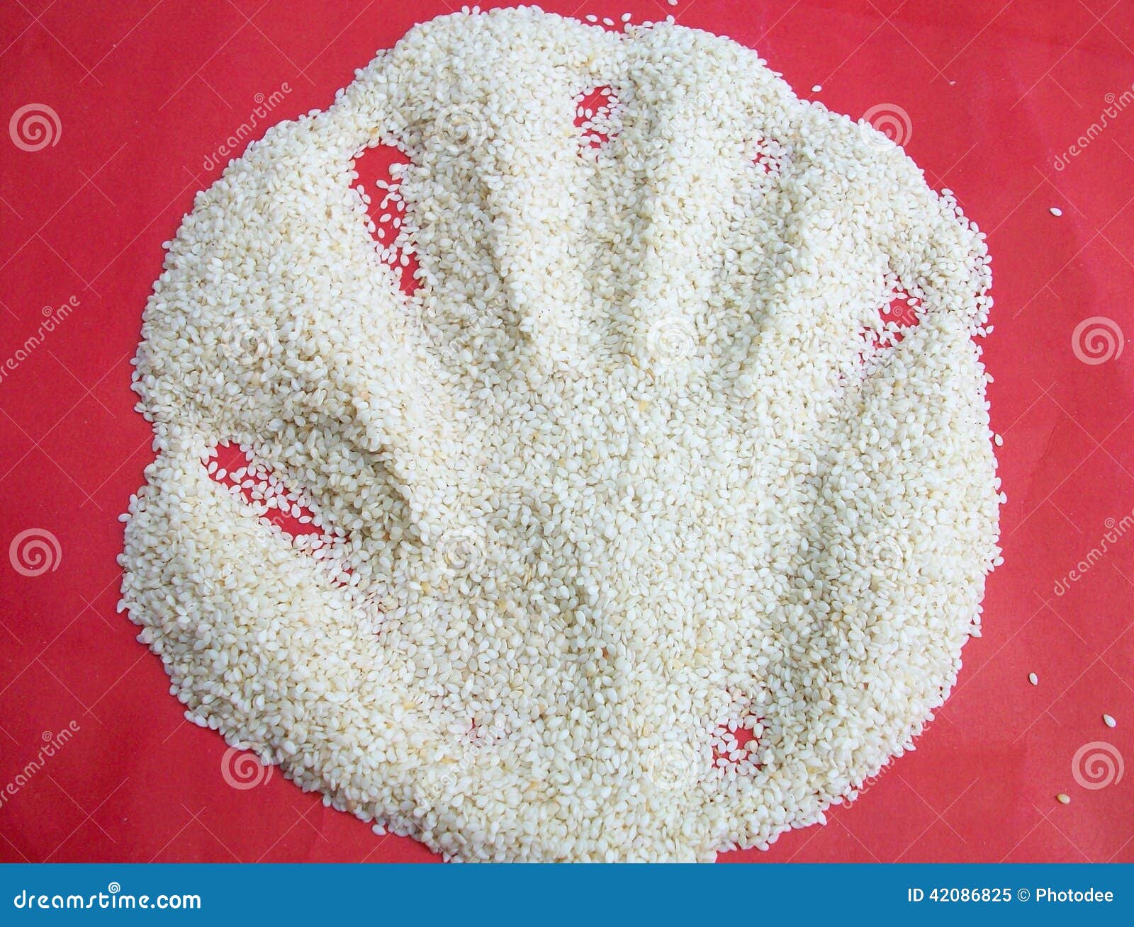 Raw rice grain stock image. Image of countryside, crop - 42086825