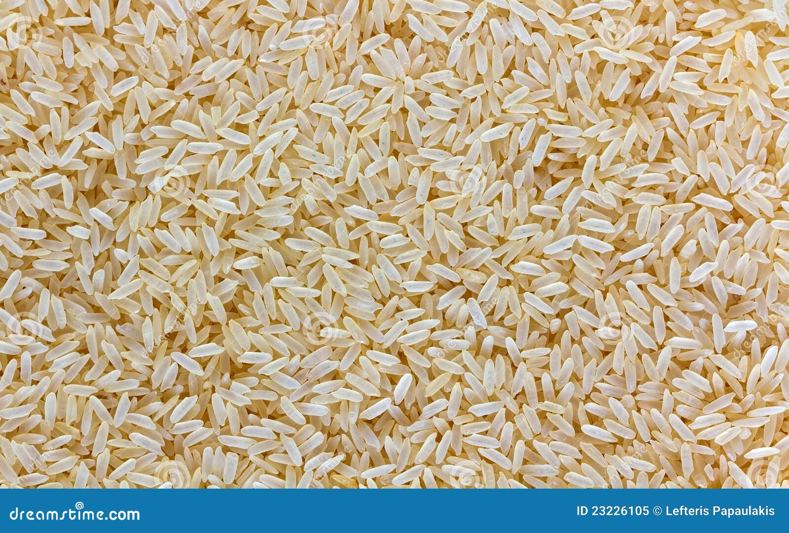 Raw rice grains background stock image. Image of loose - 23226105
