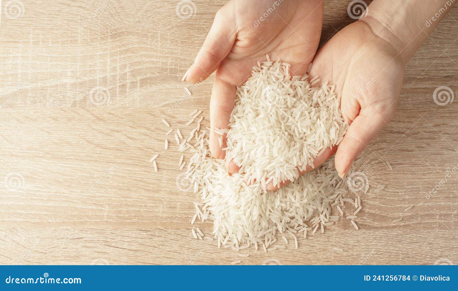Raw rice in hands stock photo. Image of harvest, closeup - 241256784