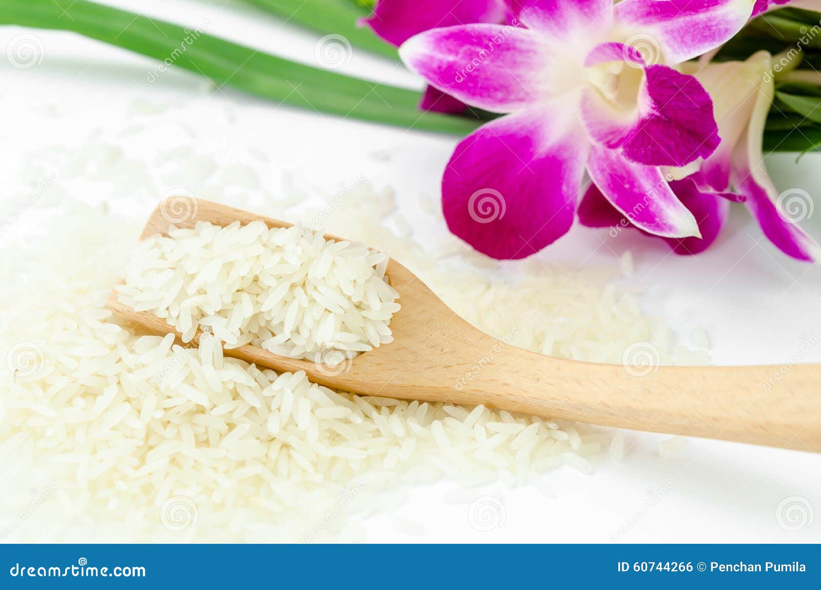 Raw Rice Violet Orchid Flower Stock Photos - Free & Royalty-Free Stock ...