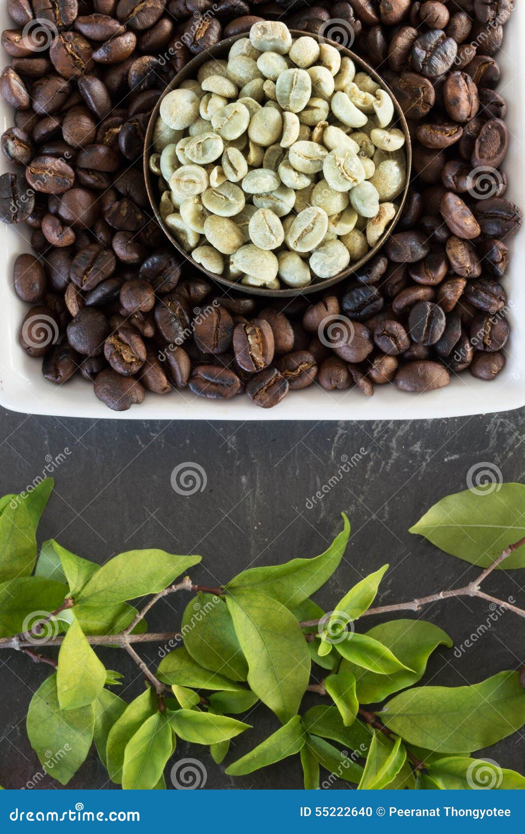 Raw and Roasted Coffee Beans Stock Photo - Image of academic, children ...