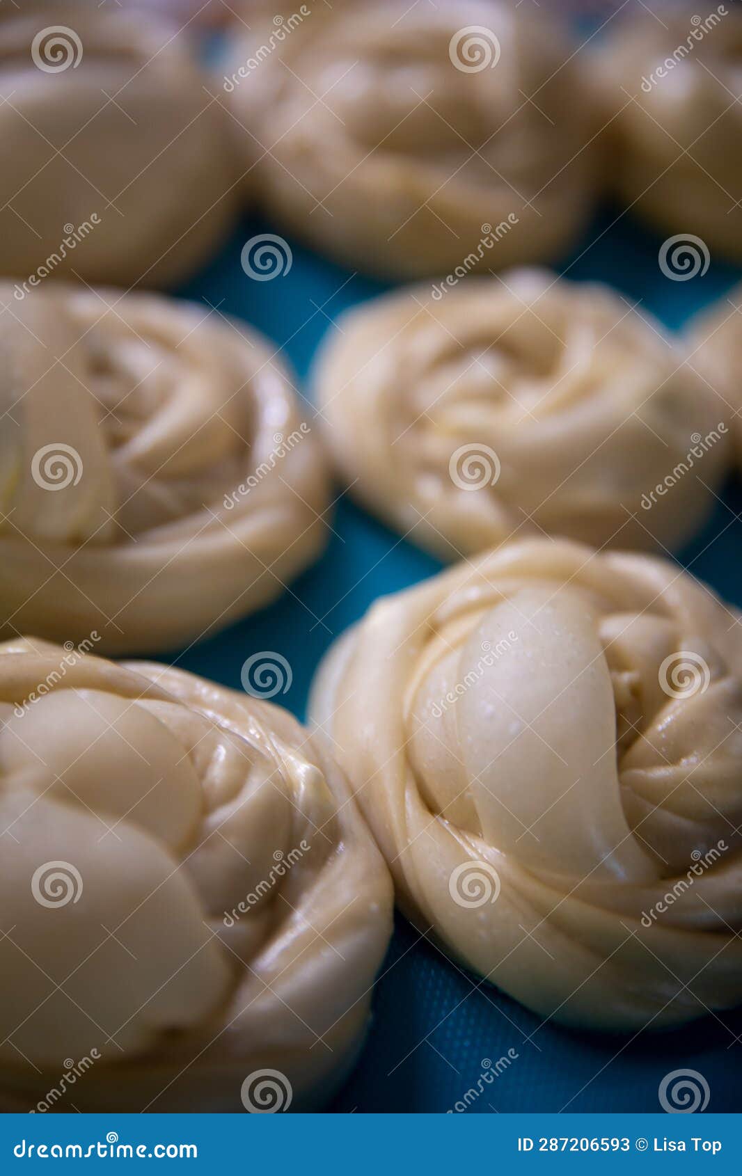 Raw Roti Canai Dough stock image. Image of famous, preparing - 287206593