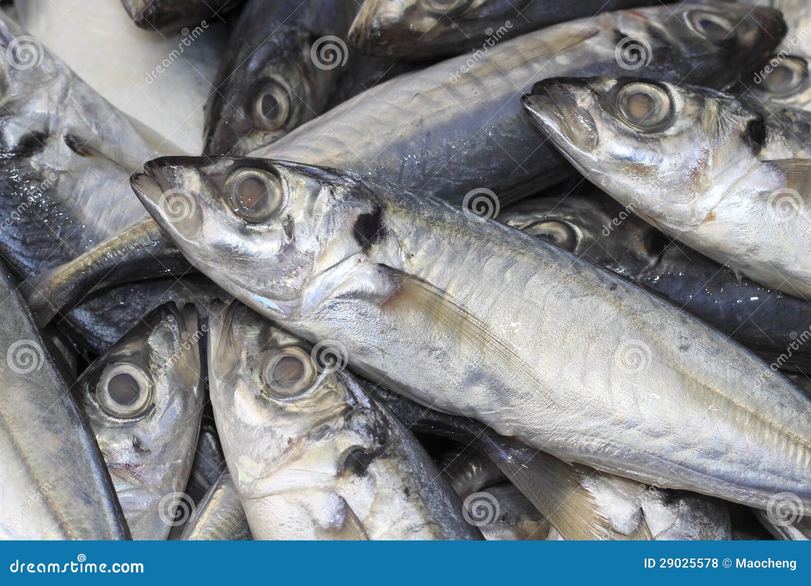 887 Scad Photos - Free & Royalty-Free Stock Photos from Dreamstime