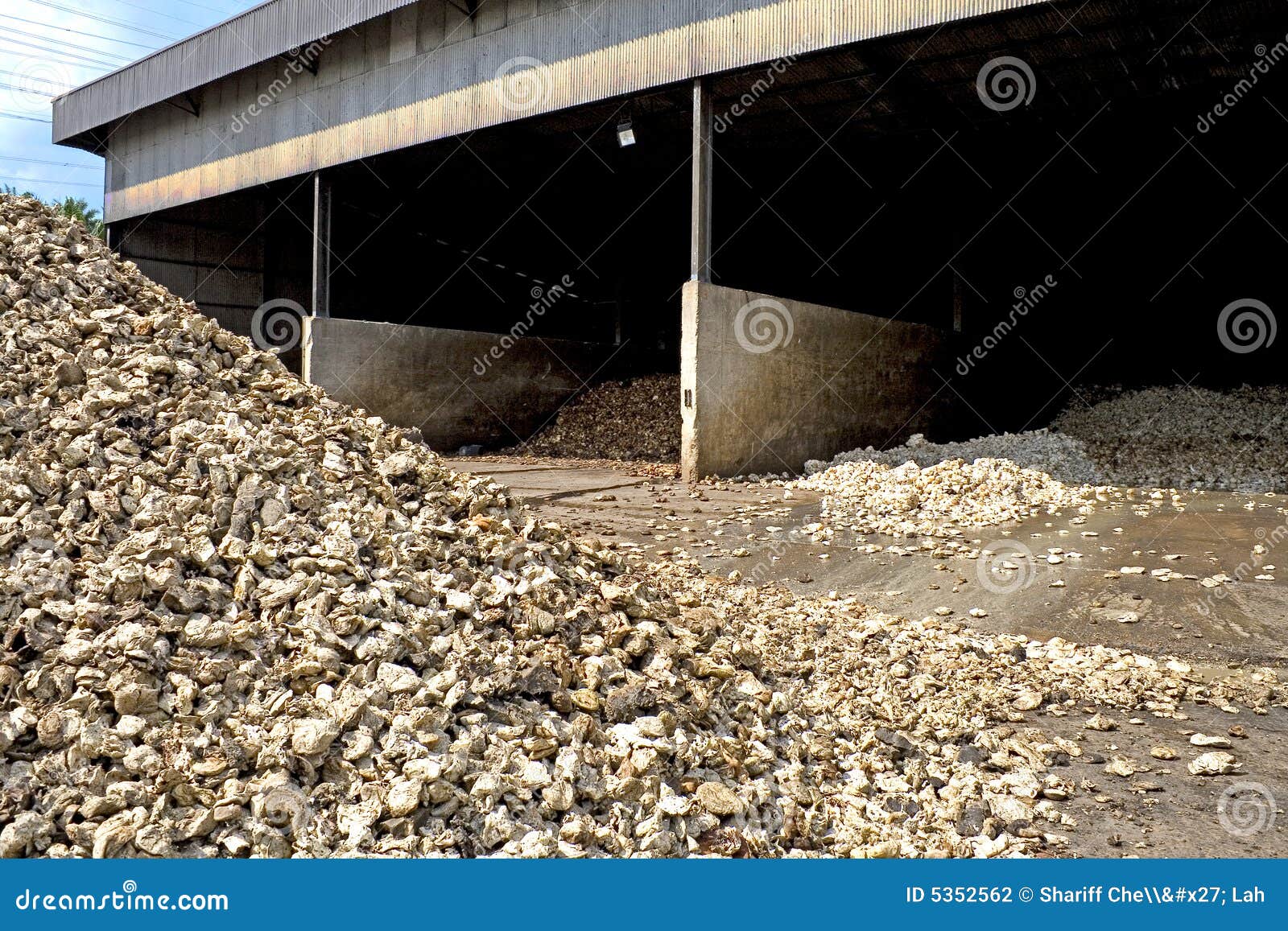 Raw rubber stock photo. Image of factory, process, rubber - 5352562