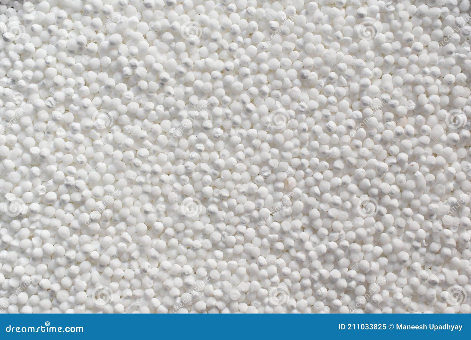 Raw Sago pearl stock image. Image of esculenta, grain - 211033825
