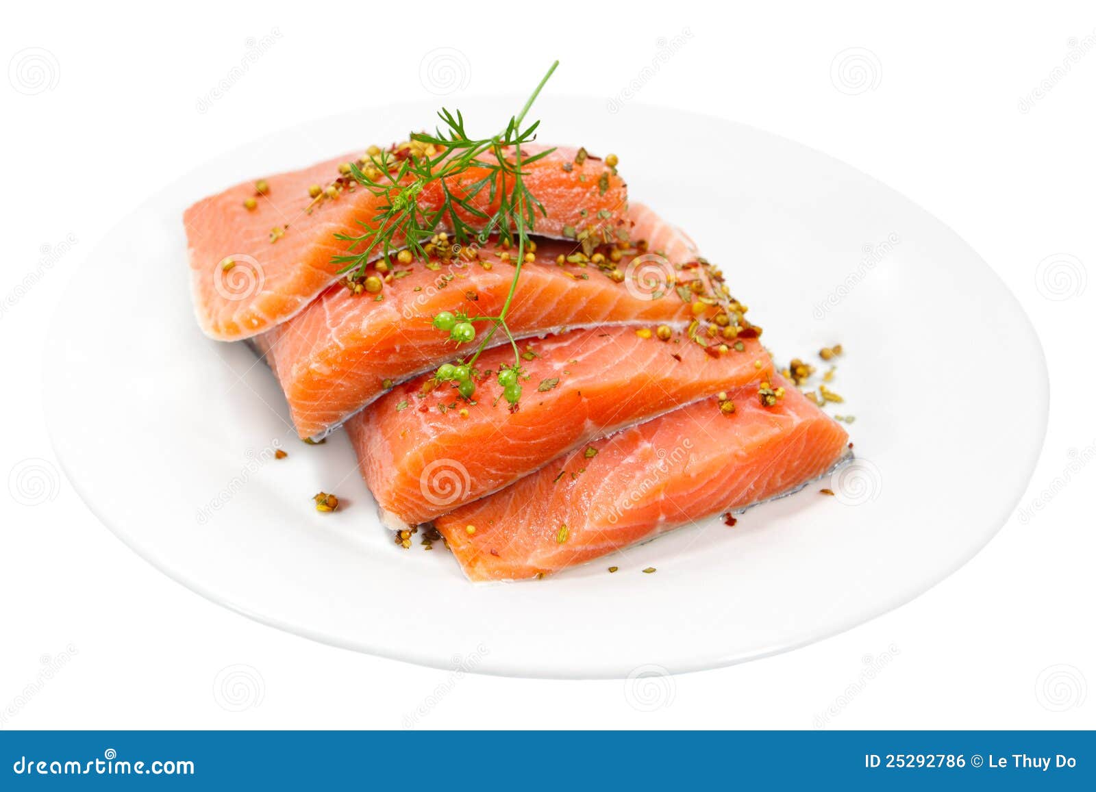 Raw Salmon stock photo. Image of natural, delicacy, slice - 25292786