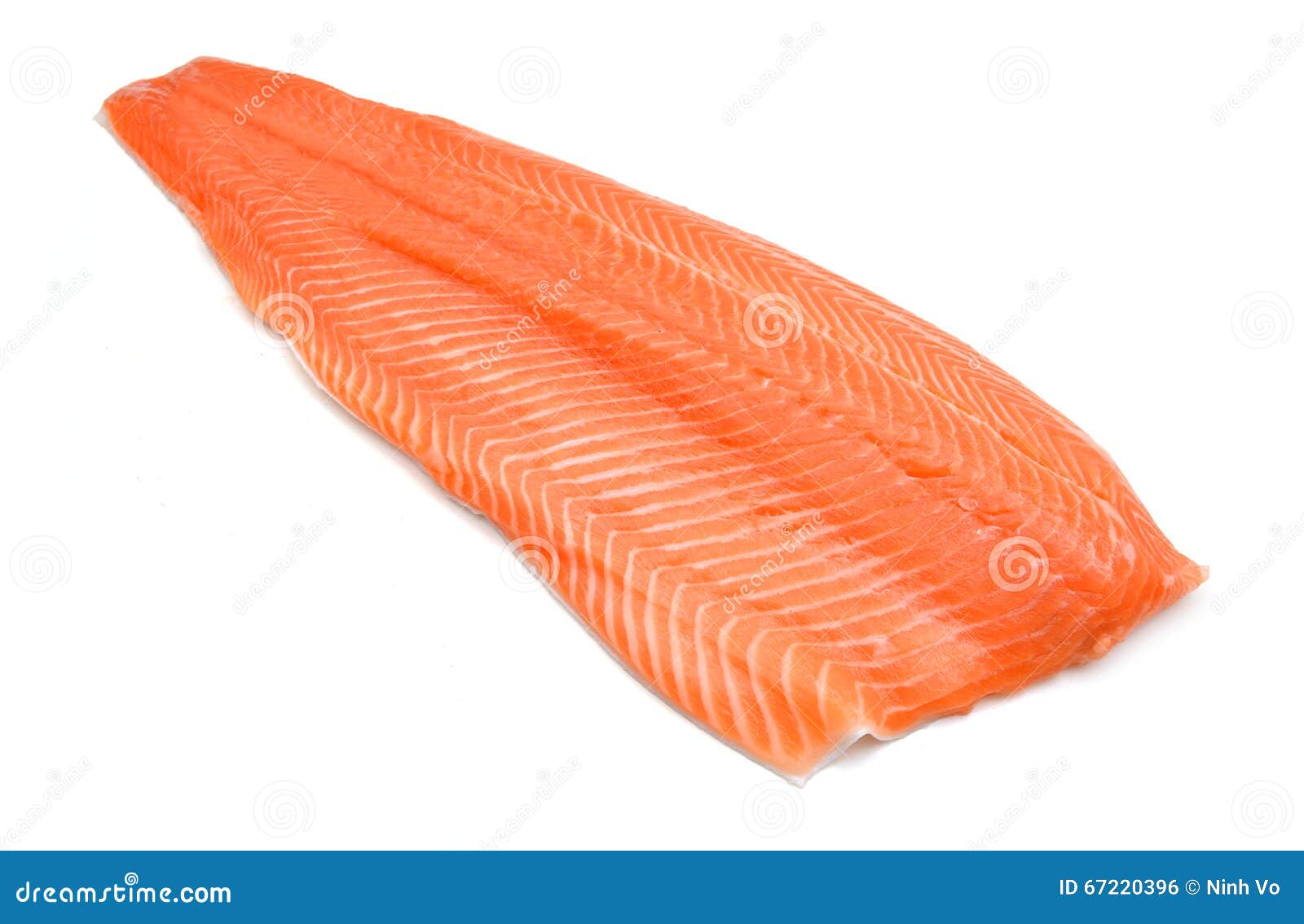Raw salmon fillet stock photo. Image of cooking, prepared - 67220396