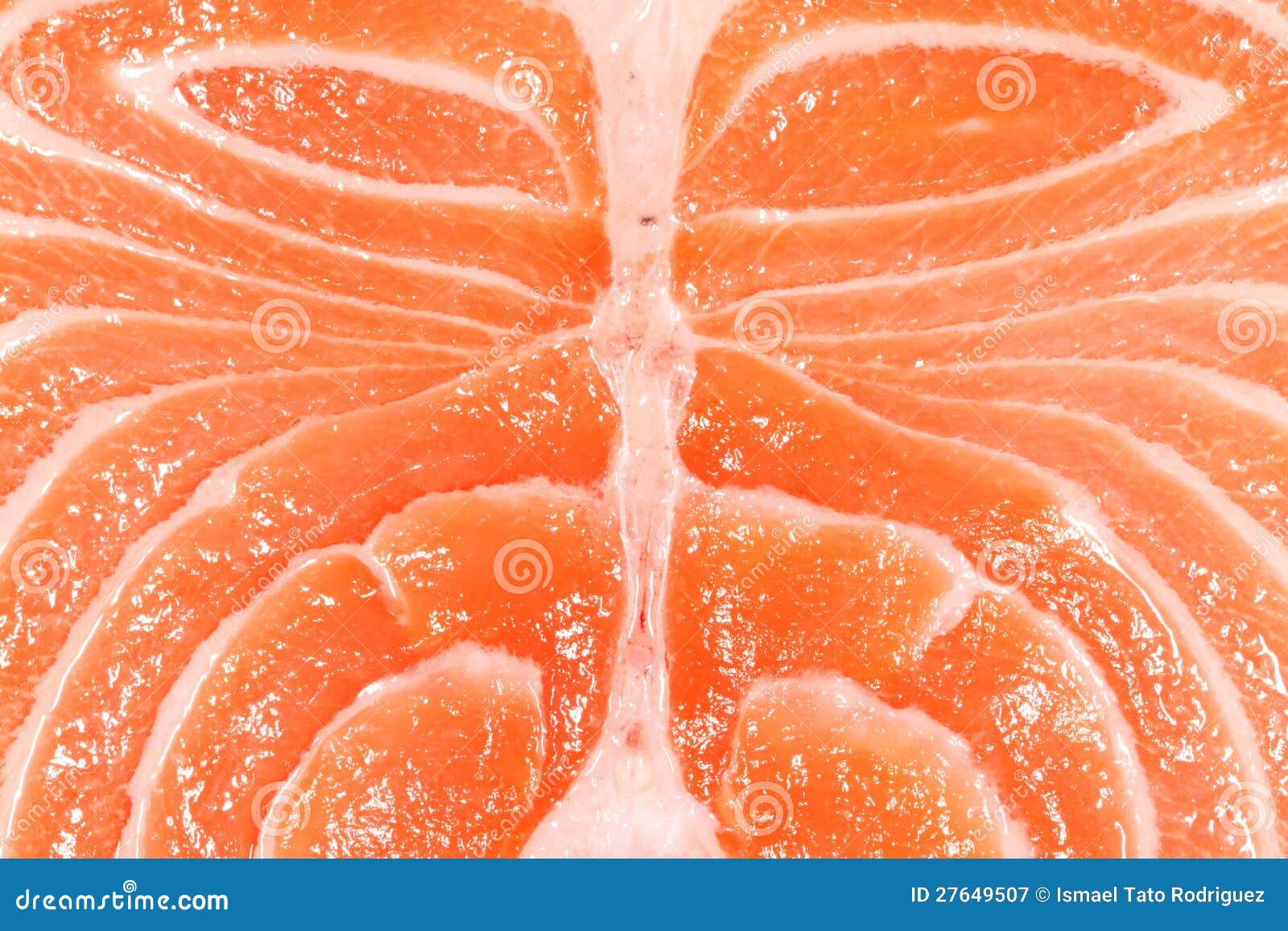 Raw Salmon Texture stock image. Image of dish, ingredient - 27649507