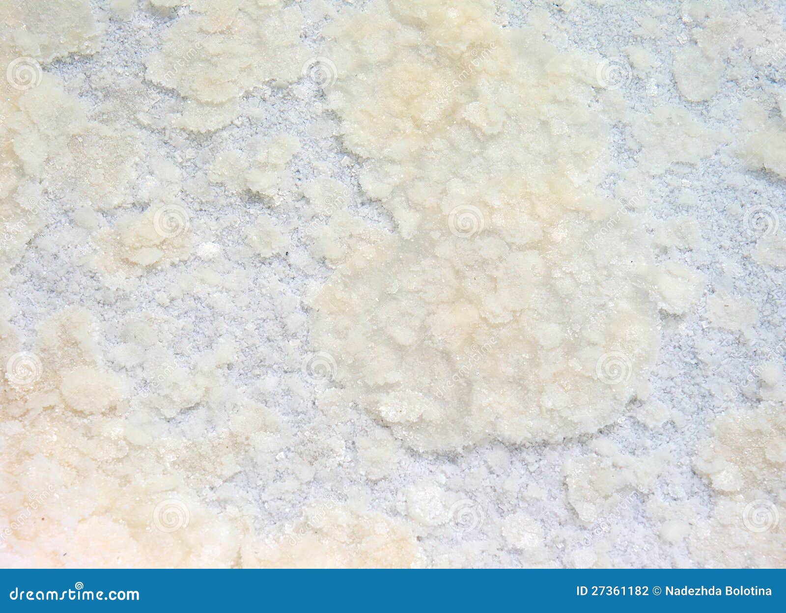 Raw salt texture stock photo. Image of leach, bottom - 27361182