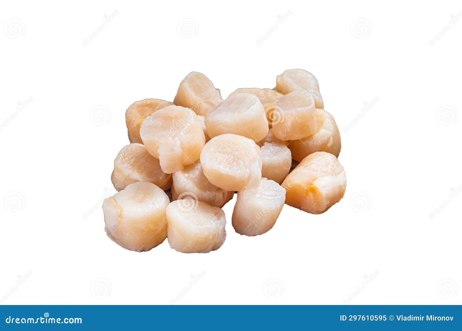 Raw Scallops on a Wooden Board. Isolated, White Background. Stock Image ...