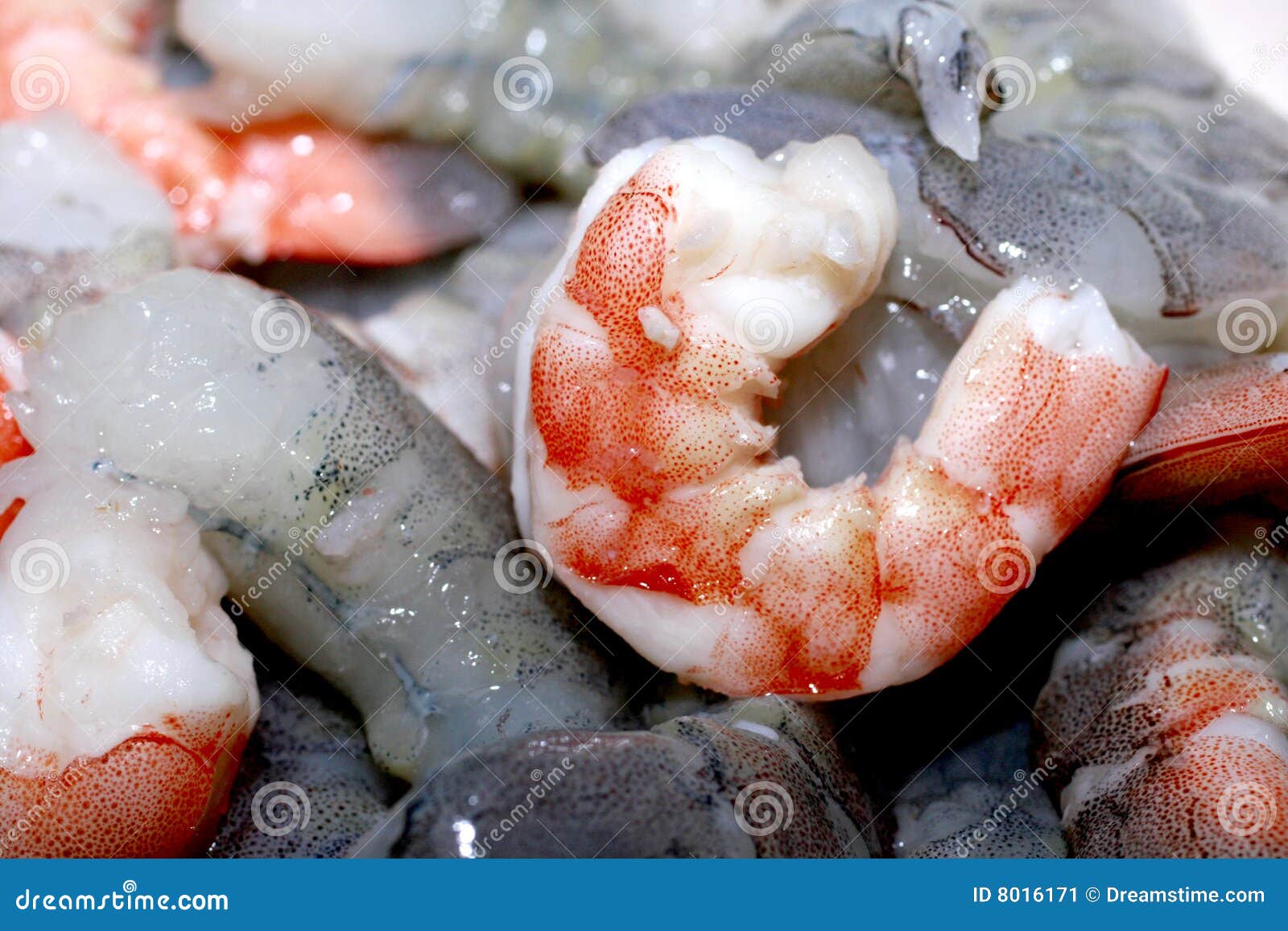 Raw Scampi Stock Image - Image: 8016171