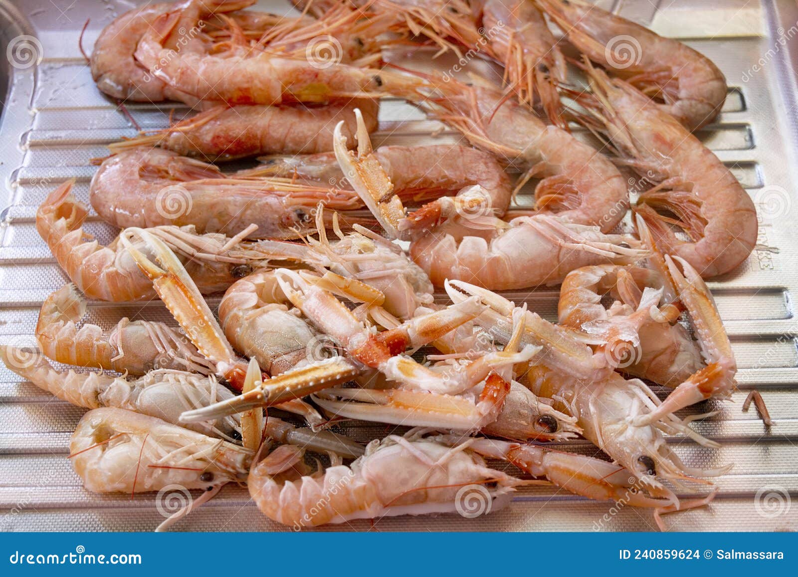 Raw Scampi Ready To Prepare a Risotto Stock Photo - Image of prawn ...