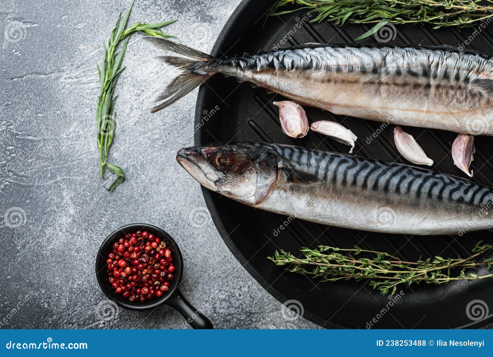 Raw Scomber Fish with Ingredients on Grey Background, Flat Lay Stock ...