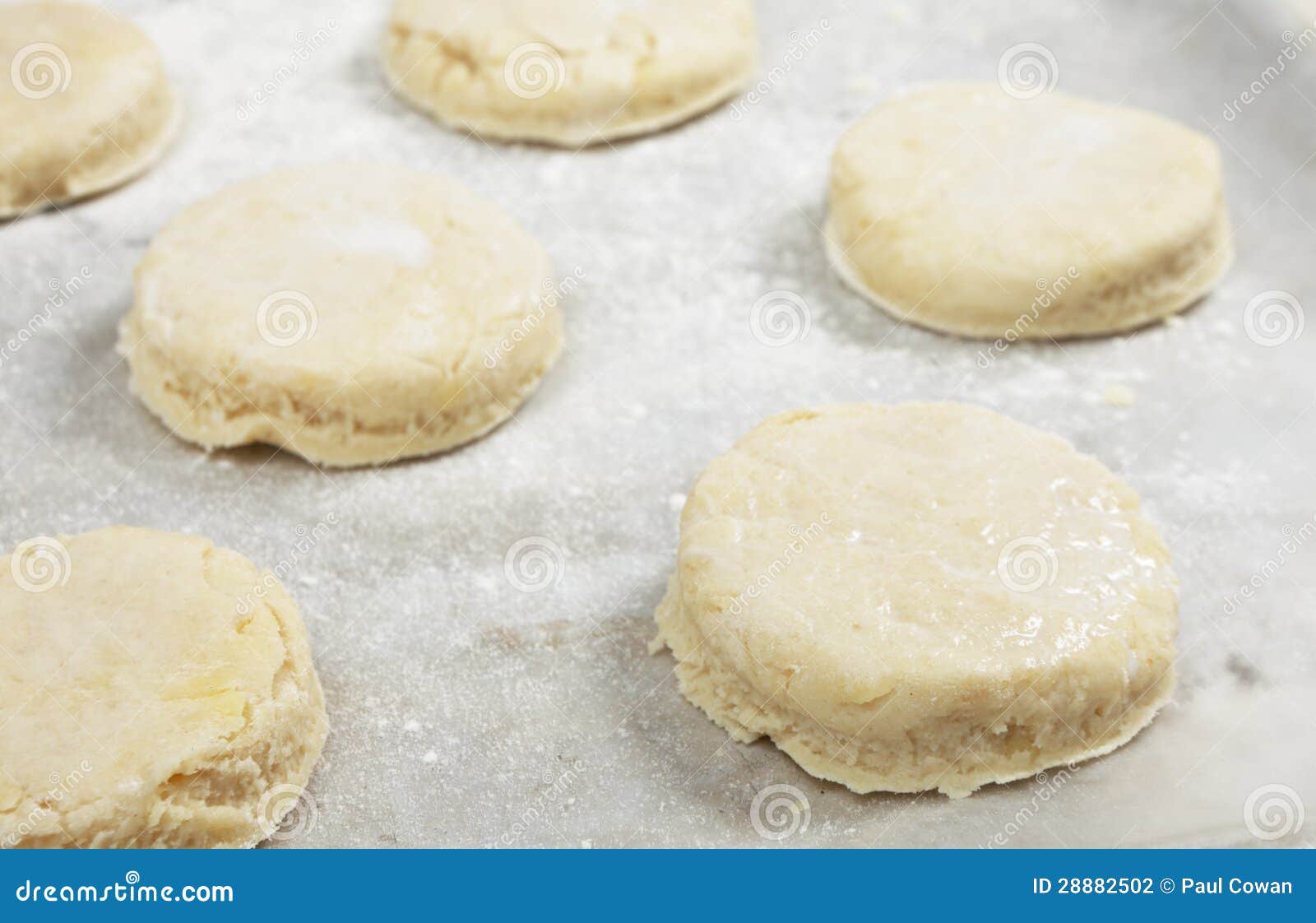 Raw Scones on a Baking Sheet Stock Photo - Image of food, tray: 28882502