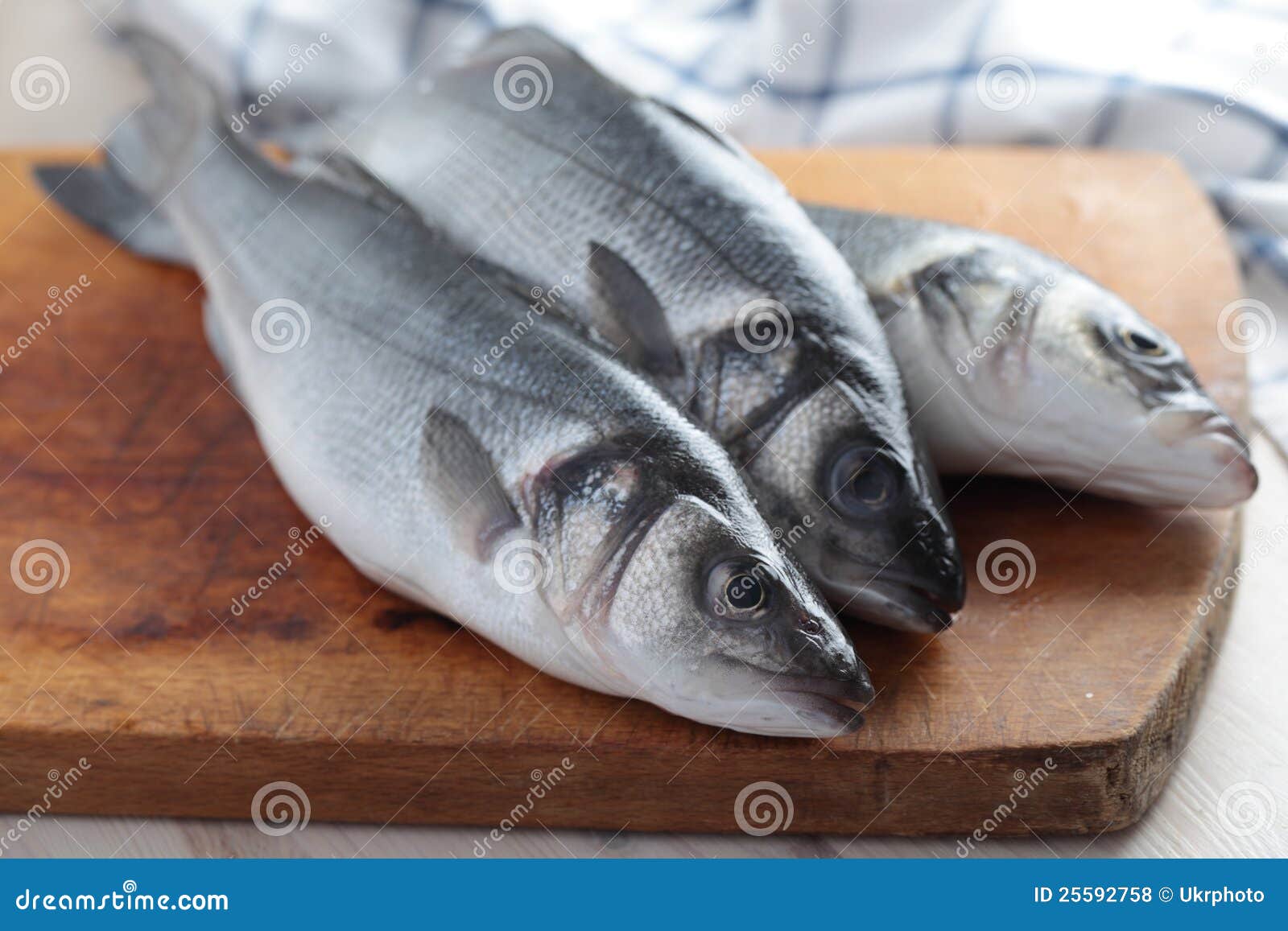 Raw sea bass stock photo. Image of horizontal, macro - 25592758