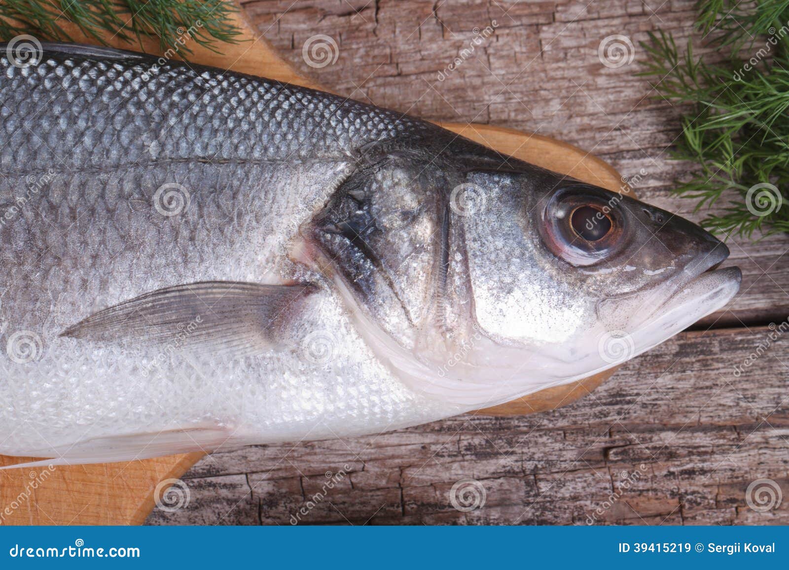 Raw Sea Bass Fish Close Up on an Old Table Stock Image - Image of fish ...