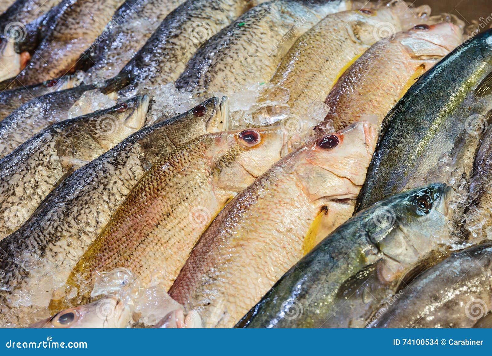 Raw sea fish in the store stock photo. Image of diet - 74100534