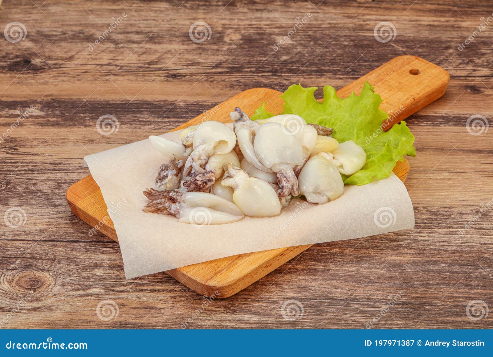 Raw Seafood - Cuttlefish for Cooking Stock Image - Image of fresh, cook ...